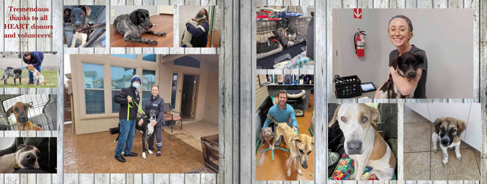 HEART Foundation - Energy Transport Logistics